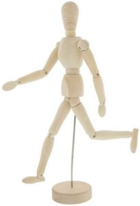 Anatomy Tools - Accurate Reference for Drawing the Human Body